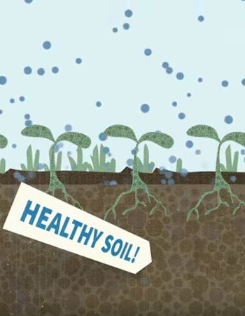 The Soil Story with Pashon Murray | GREEN HOME